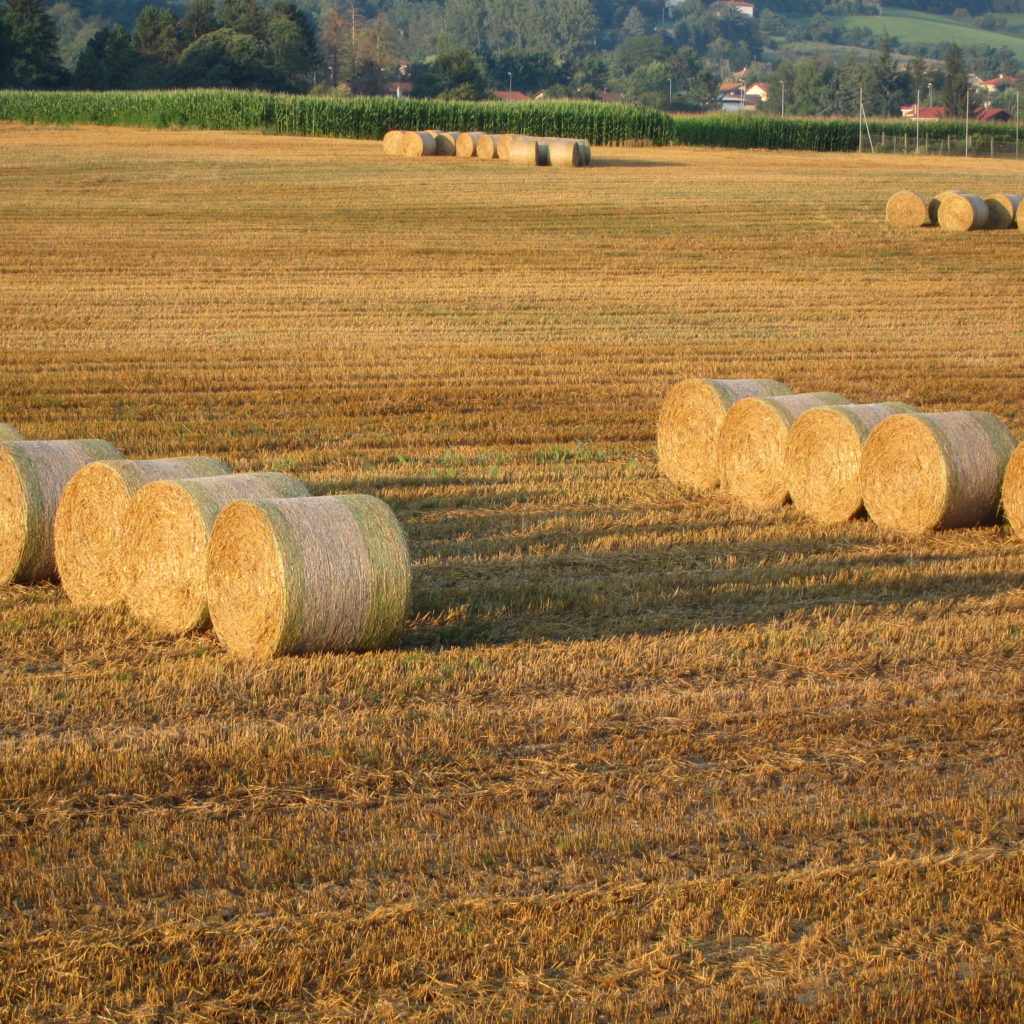 Report collecte SITOM – Site officiel Marennes
